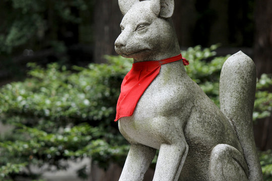 KMBKisOKO photos, images, assets | Adobe Stock