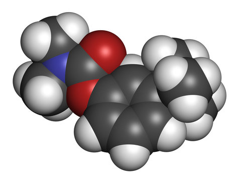 Prostigmin Images – Browse 43 Stock Photos, Vectors, and Video | Adobe ...