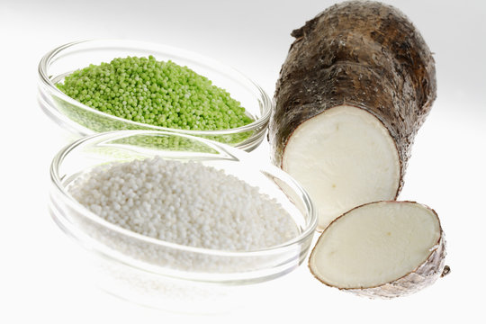 รูปภาพTapioka – เลือกดูภาพถ่ายสต็อก เวกเตอร์ และวิดีโอ724 | Adobe Stock