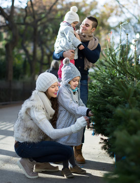 รูปภาพX-Tree – เลือกดูภาพถ่ายสต็อก เวกเตอร์ และวิดีโอ679 | Adobe Stock