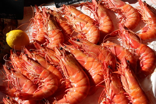 "Queen Prawns" Bilder – Durchsuchen 128,286 Archivfotos, Vektorgrafiken ...