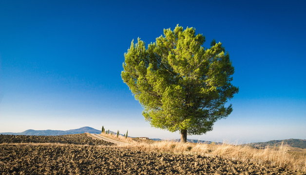 รูปภาพPinien – เลือกดูภาพถ่ายสต็อก เวกเตอร์ และวิดีโอ5,625 | Adobe Stock