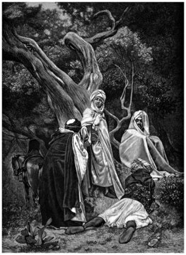 「Marabout」の写真素材 | 2,032件の無料イラスト画像 | Adobe Stock