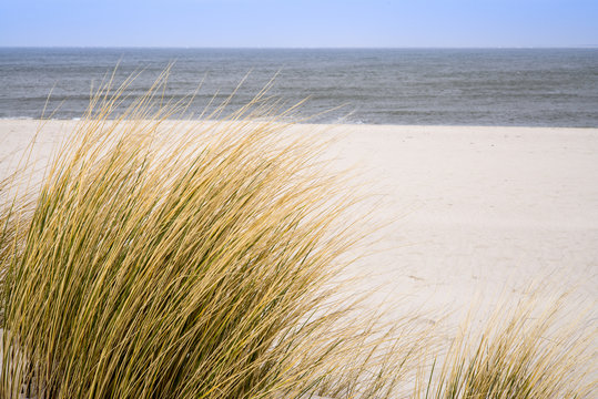 Fotolia - Images et vidéos libres de droits | Adobe Stock