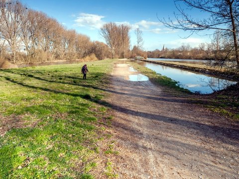 Sumpfig Bilder – Durchsuchen 1,054 Archivfotos, Vektorgrafiken und ...