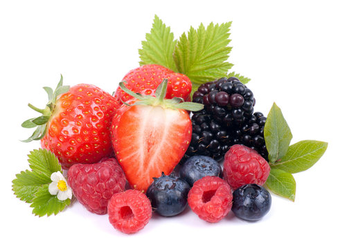 รูปภาพBeeren – เลือกดูภาพถ่ายสต็อก เวกเตอร์ และวิดีโอ51,386 | Adobe Stock