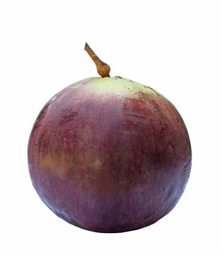 รูปภาพCaimito – เลือกดูภาพถ่ายสต็อก เวกเตอร์ และวิดีโอ4,749 | Adobe Stock