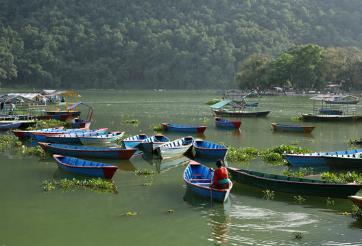 Kaskikot Images – Browse 42 Stock Photos, Vectors, and Video | Adobe Stock