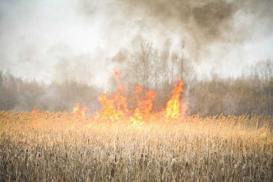 Field On Fire Images – Browse 149,594 Stock Photos, Vectors, and Video ...