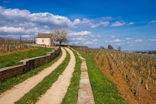 Cabote Images – Browse 39 Stock Photos, Vectors, and Video | Adobe Stock