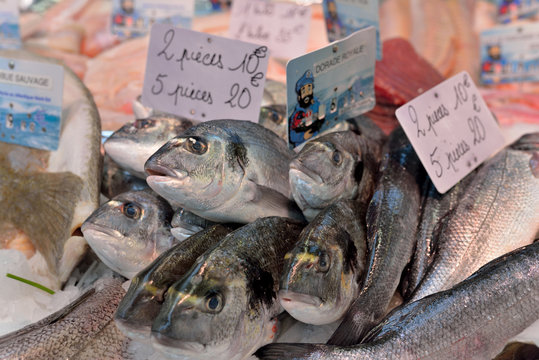 "Dorade Box"-Bilder: Stock-Fotos & -Videos. | Adobe Stock