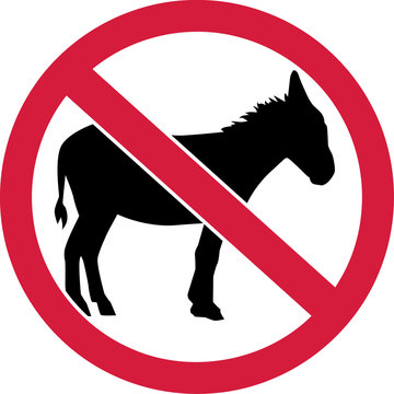 Mulish Images – Browse 35 Stock Photos, Vectors, and Video | Adobe Stock