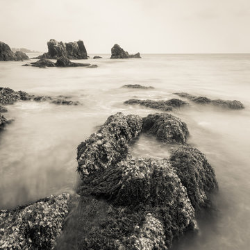 Monotone Images – Browse 35,797 Stock Photos, Vectors, and Video ...