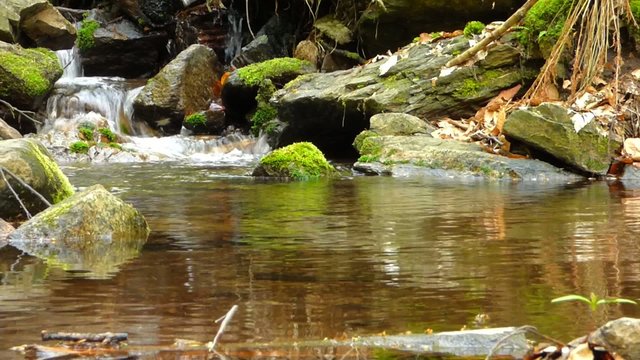 รูปภาพCreek – เลือกดูภาพถ่ายสต็อก เวกเตอร์ และวิดีโอ1,399,891 | Adobe Stock