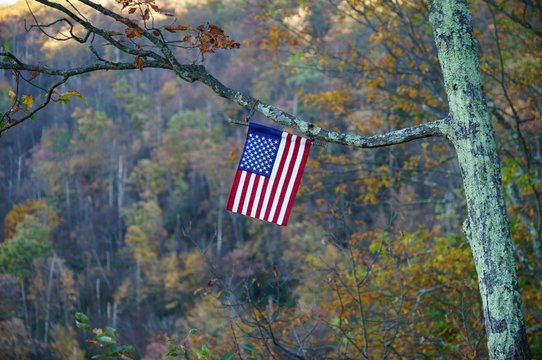 Tree, American Flag Images – Browse 10,692 Stock Photos, Vectors, and ...