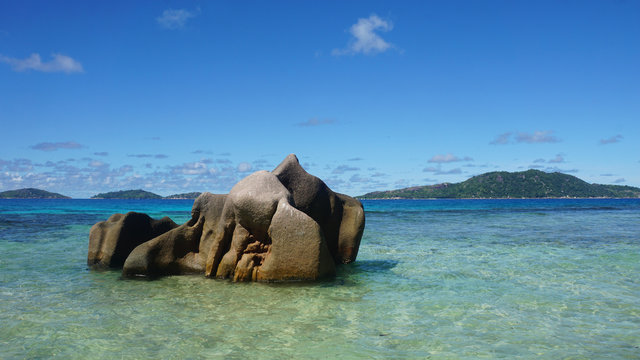 Yearning Images – Browse 645,850 Stock Photos, Vectors, and Video ...