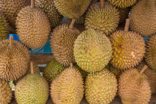 รูปภาพStinkfrucht – เลือกดูภาพถ่ายสต็อก เวกเตอร์ และวิดีโอ124 | Adobe Stock