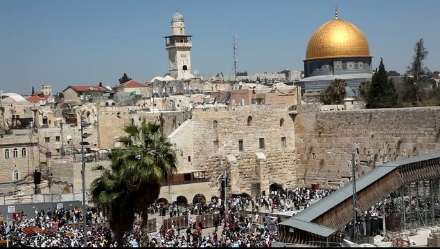 Tshuva bilder – Bläddra bland 14 stockfoton, vektorer och videor ...