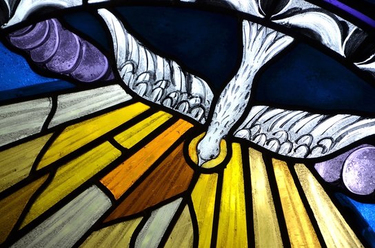 Pinse Billeder – Gennemse 19,987 stockfotos, vektorer og videoer ...