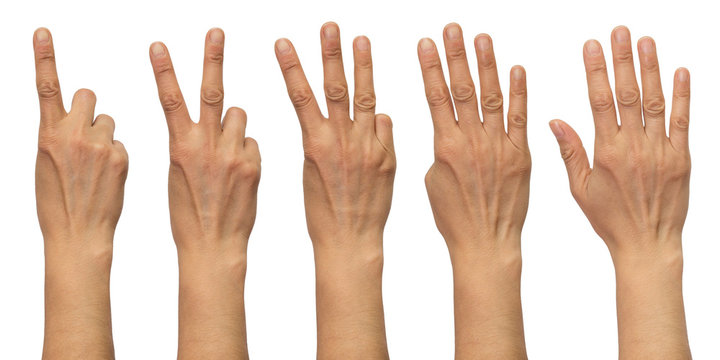 "Women Hand" Images – Browse 1,469 Stock Photos, Vectors, and Video ...