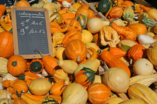 Coloquinte Images – Browse 695 Stock Photos, Vectors, and Video | Adobe ...