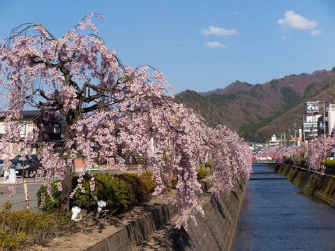 รูปภาพCatamite – เลือกดูภาพถ่ายสต็อก เวกเตอร์ และวิดีโอ1,098 | Adobe Stock