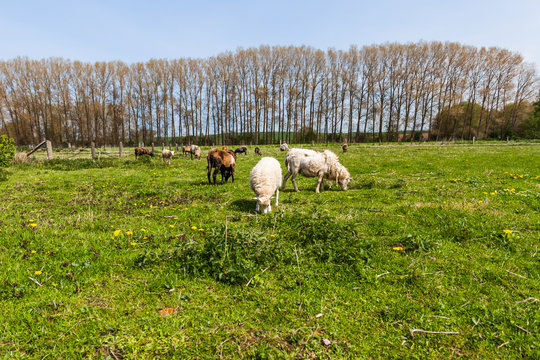 Scheunenhof Images – Browse 10 Stock Photos, Vectors, and Video | Adobe ...