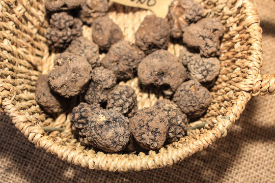 รูปภาพTrifola – เลือกดูภาพถ่ายสต็อก เวกเตอร์ และวิดีโอ89 | Adobe Stock