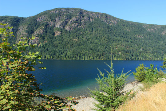 รูปภาพCameron – เลือกดูภาพถ่ายสต็อก เวกเตอร์ และวิดีโอ20,747 | Adobe Stock