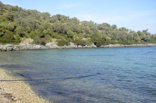 Orak Images – Browse 50 Stock Photos, Vectors, and Video | Adobe Stock