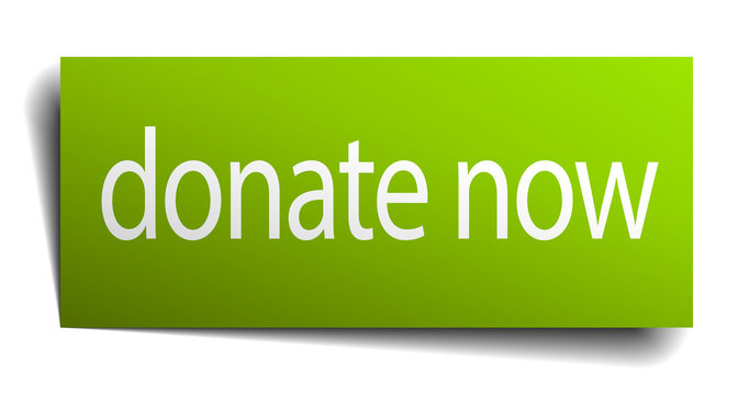 Donate Now Button Green