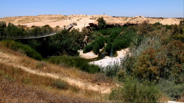 Besor Images – Browse 31 Stock Photos, Vectors, and Video | Adobe Stock