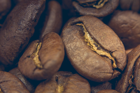 รูปภาพKaf – เลือกดูภาพถ่ายสต็อก เวกเตอร์ และวิดีโอ10,224 | Adobe Stock