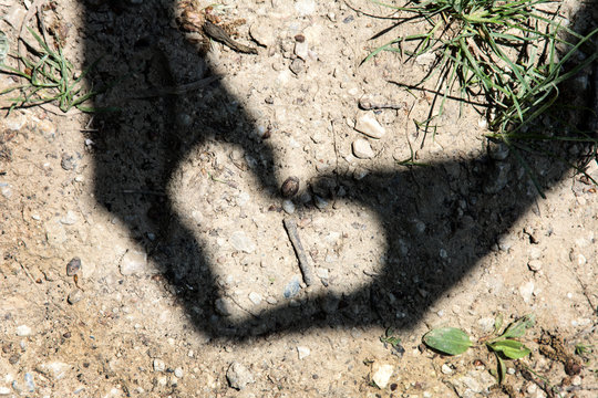 "Heart Shadow" Images – Browse 103 Stock Photos, Vectors, and Video ...