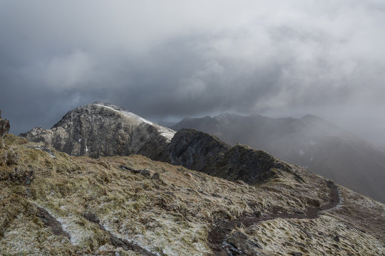 Carrant Images – Browse 43 Stock Photos, Vectors, and Video | Adobe Stock