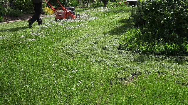 Tond Images – Browse 48 Stock Photos, Vectors, and Video | Adobe Stock