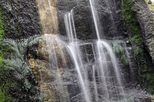 Gumpe Bilder – Durchsuchen 303 Archivfotos, Vektorgrafiken und Videos ...