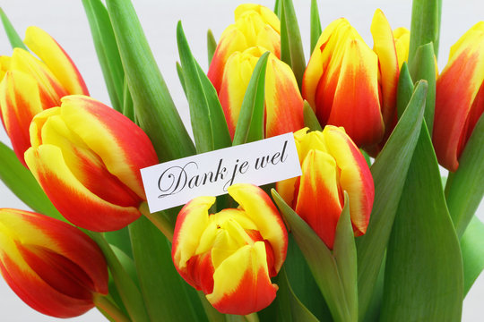 "Dank Je Wel" Images – Browse 43 Stock Photos, Vectors, and Video ...