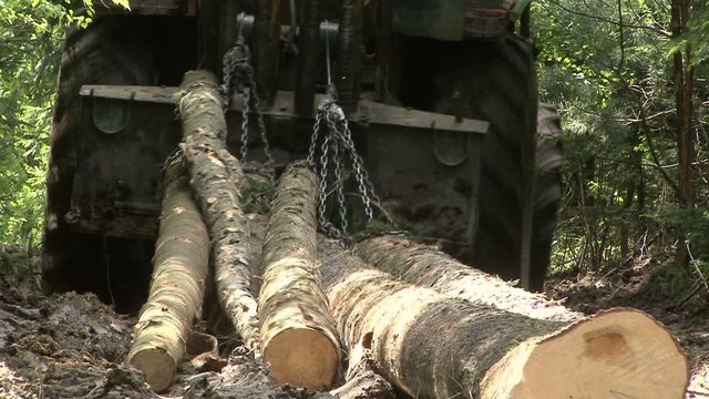 Skidding Images – Browse 90,178 Stock Photos, Vectors, and Video ...