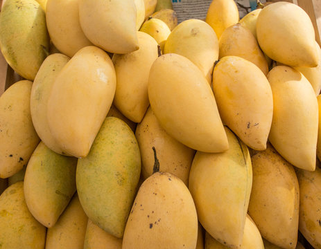 "Yellow Mango" Images – Browse 1,175 Stock Photos, Vectors, and Video ...