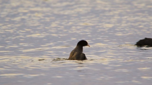 Goot Images – Browse 164 Stock Photos, Vectors, and Video | Adobe Stock