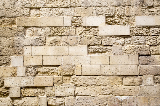 "Pelle Ruvida" Bilder – Durchsuchen 48 Archivfotos, Vektorgrafiken und ...