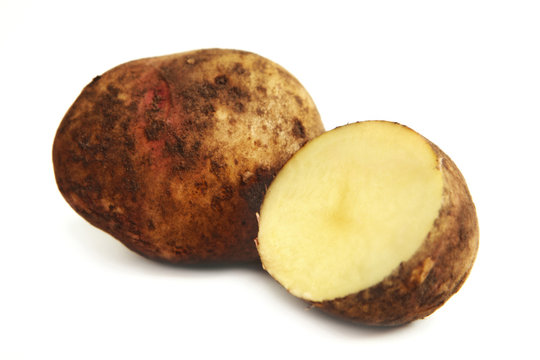 Potatis Bilder – Durchsuchen 49 Archivfotos, Vektorgrafiken und Videos ...