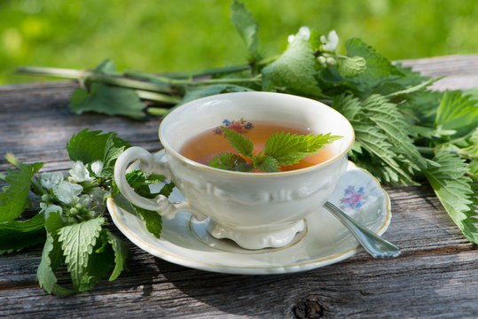 Brennesseltee Imagens – Procure 312 fotos, vetores e vídeos | Adobe Stock