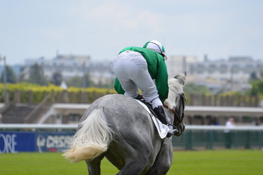 Galopeur - Images et vidéos libres de droits | Adobe Stock