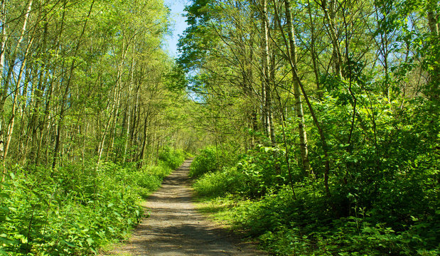 รูปภาพSentier – เลือกดูภาพถ่ายสต็อก เวกเตอร์ และวิดีโอ35,070 | Adobe Stock