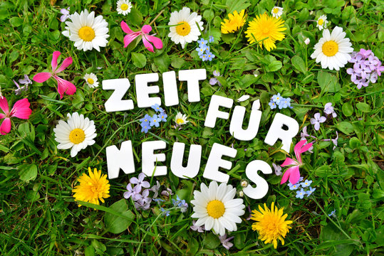 Neuanfang Bilder – Durchsuchen 23,456 Archivfotos, Vektorgrafiken und ...