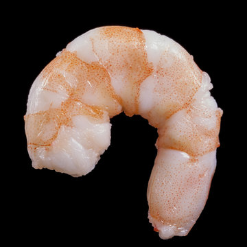 Krevette bilder – Bläddra bland 300 stockfoton, vektorer och videor ...