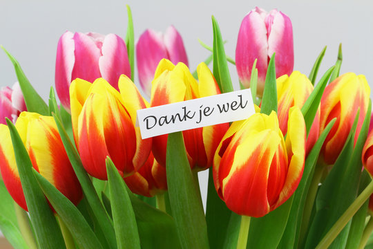 "Dank Je Wel" Images – Browse 43 Stock Photos, Vectors, and Video ...