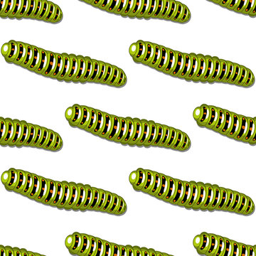 รูปภาพMaggot – เลือกดูภาพถ่ายสต็อก เวกเตอร์ และวิดีโอ51,026 | Adobe Stock